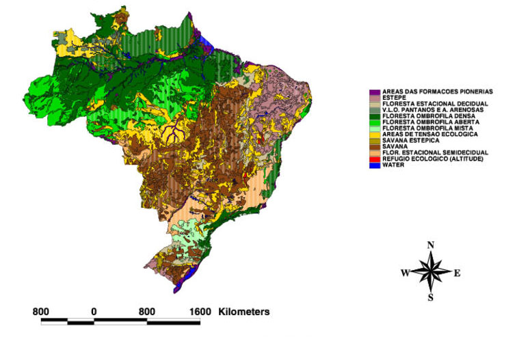 LBA-ECO LC-08 Soil, Vegetation, and Land Cover Maps for Brazil and ...